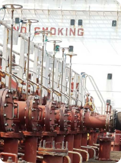 Shane Marine | Our Fleets