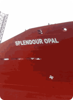 Shane Marine | Our Fleets