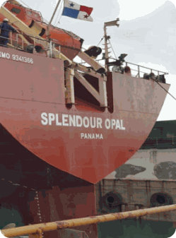 Shane Marine | Our Fleets